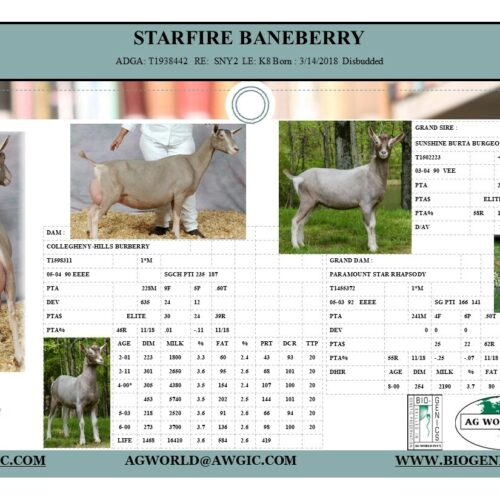 International Sires – BIO-Genics LLC