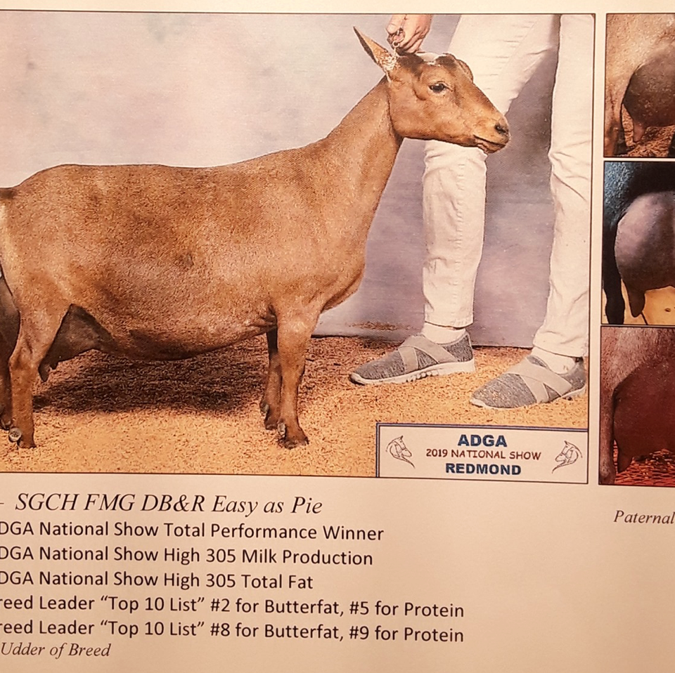 Domestic Sires – BIO-Genics LLC